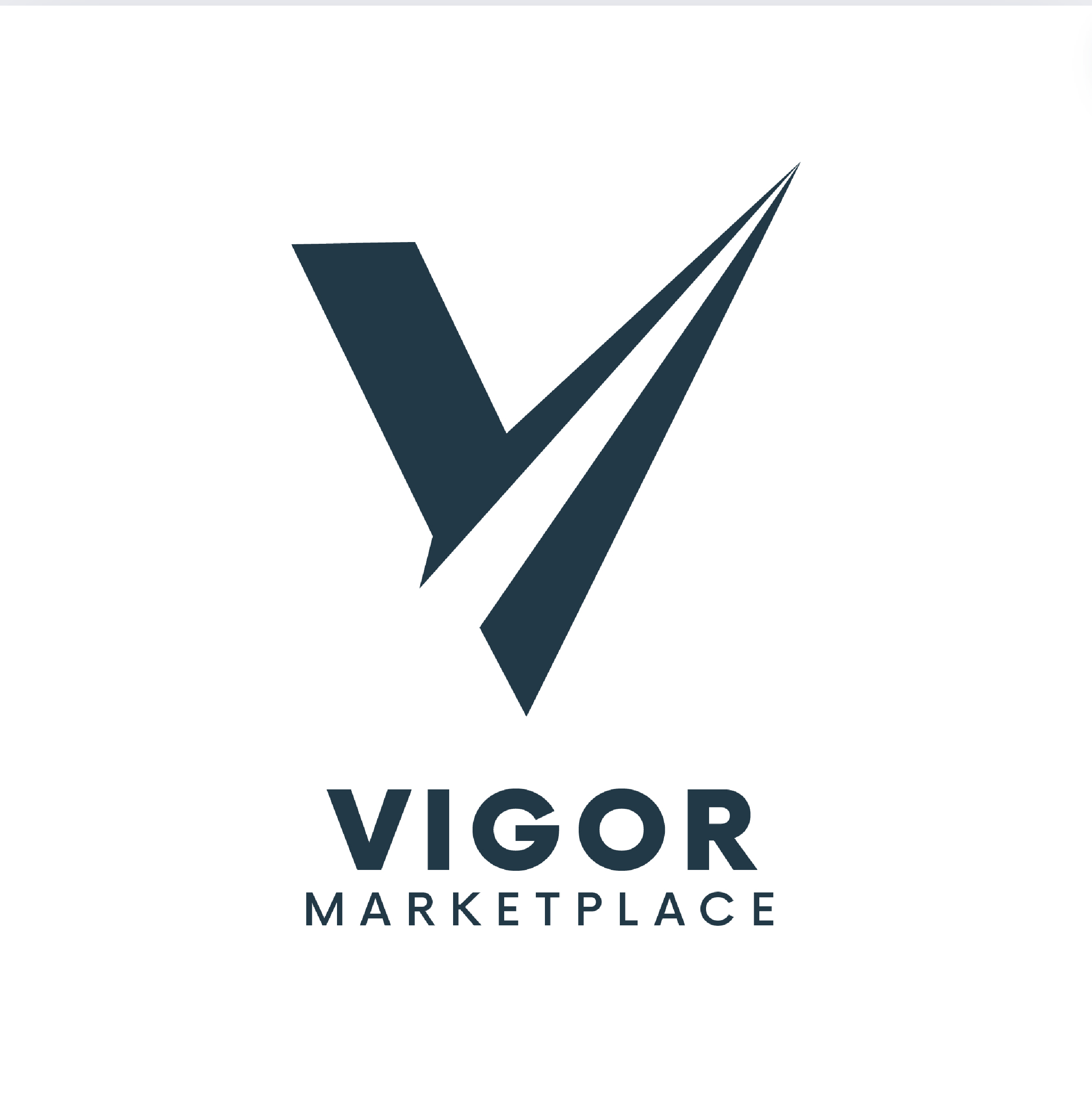 Kids Birthday Gifts – VIGOR MARKET